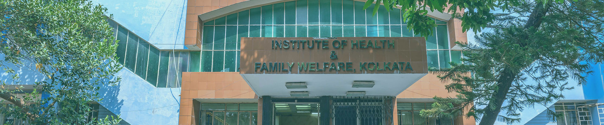 Organisation Chart | IHFW